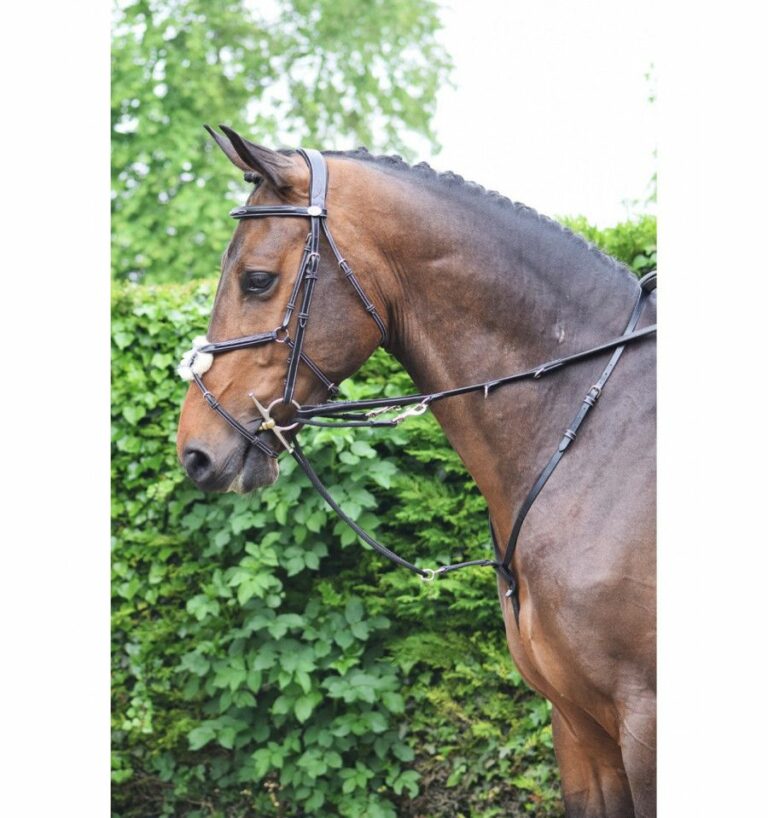 Enrenement Howlett + renes Jump’in – So Horse Sellerie